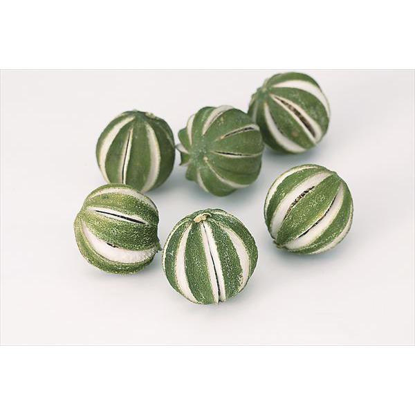 【商品詳細】【商品名】大地農園/丸っぽライム・N【入り数】1袋（6コ)【サイズ】約4-5.5cm【注意】※ご使用のＰＣ環境により、実物の色目と差異がある場合もあります。※生花由来の商品のため、商品ごとに色・サイズ・状態等に個体差がございます...