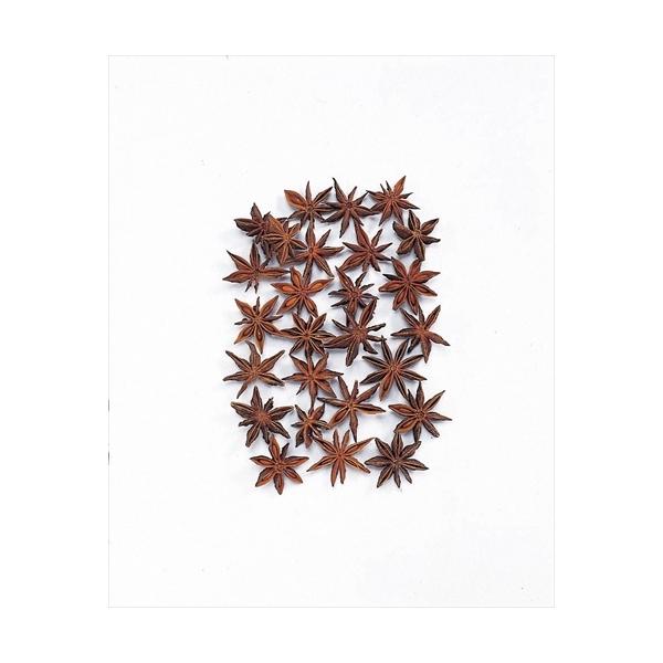 【商品詳細】【商品名】大地農園/スターアニス・N【入り数】1袋（約35g・約20コ)【注意】※ご使用のＰＣ環境により、実物の色目と差異がある場合もあります。※生花由来の商品のため、商品ごとに色・サイズ・状態等に個体差がございます。そのため、...