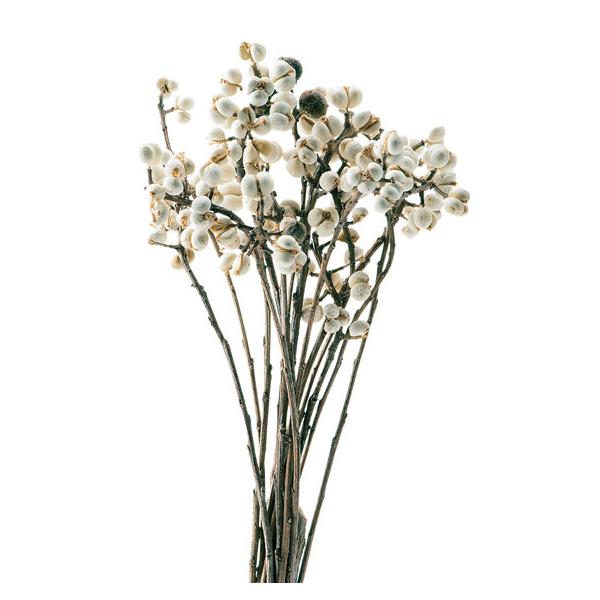 【商品詳細】【商品名】大地農園/ナンキンハゼ・小【入り数】1束(約60g)【サイズ】約25cm【注意】※ご使用のＰＣ環境により、実物の色目と差異がある場合もあります。※生花由来の商品のため、商品ごとに色・サイズ・状態等に個体差がございます。...