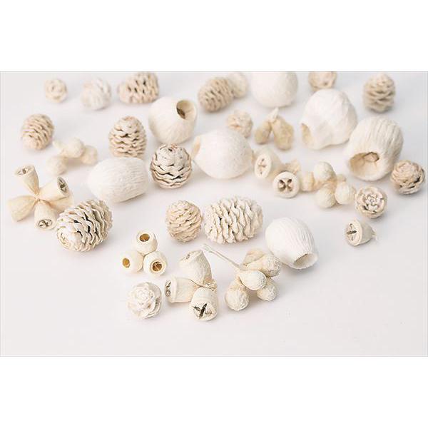 【商品詳細】【商品名】大地農園/ミックスナッツ・小【入り数】1袋（約70g)【内容】ベルガム/トータムローズ/アンバーナッツ/マッシュルームガム/メリディナム/コニカルガム【注意】※ご使用のＰＣ環境により、実物の色目と差異がある場合もありま...