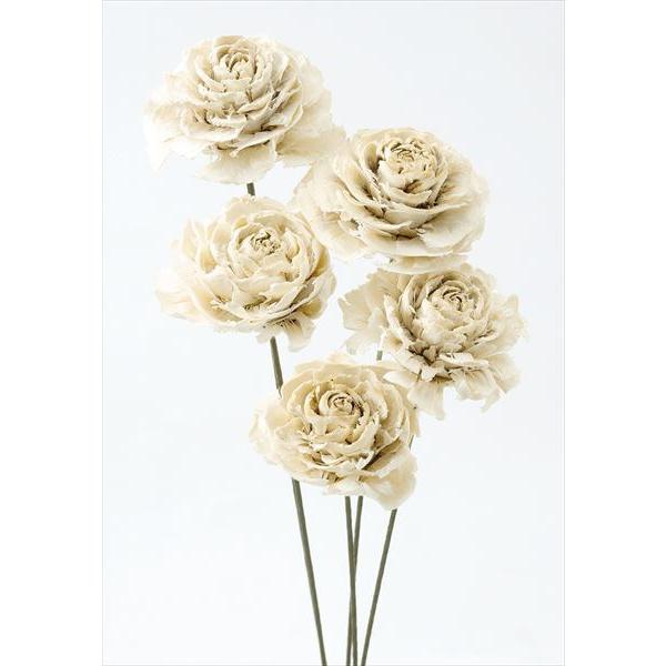 【商品詳細】【商品名】大地農園/シダローズ【入り数】1束(約5本)【サイズ】約35-40cmL花径4-5cm【注意】※ご使用のＰＣ環境により、実物の色目と差異がある場合もあります。※生花由来の商品のため、商品ごとに色・サイズ・状態等に個体差...