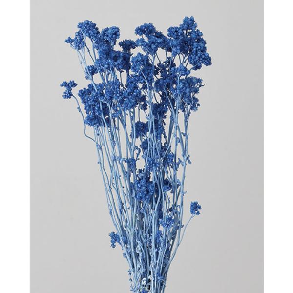 【商品詳細】【商品名】大地農園/クリスパム【入り数】1束(約15g)【サイズ】約30cmL【注意】※ご使用のＰＣ環境により、実物の色目と差異がある場合もあります。※生花由来の商品のため、商品ごとに色・サイズ・状態等に個体差がございます。その...