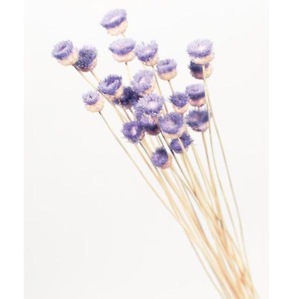 【商品詳細】【商品名】大地農園/ハッピーフラワー【入数】22g【必ずご確認ください】※季節によりサイズ・花型にばらつきが出ることがあります。【送料】配送料:600円配送料商品5,000円以上で送料無料！【注意】※ご使用のＰＣ環境により、実物...