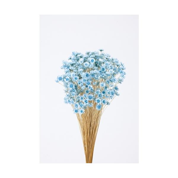 【商品詳細】【商品名】大地農園/スターフラワー・ブロッサム【入り数】1束(約18g)【サイズ】約30cmL花サイズ約1-1.5cm【注意】※ご使用のＰＣ環境により、実物の色目と差異がある場合もあります。※生花由来の商品のため、商品ごとに色・...