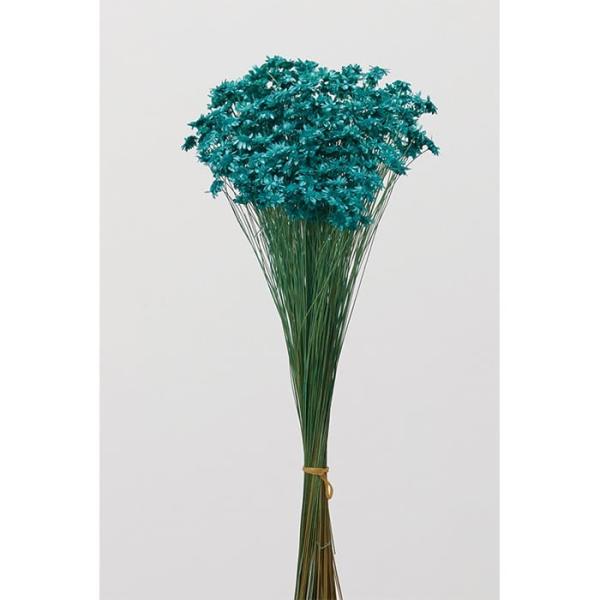 【商品詳細】【商品名】大地農園/スターフラワー・ブロッサム【入り数】1束(約18g)【サイズ】約30cmL花サイズ約1-1.5cm【注意】※ご使用のＰＣ環境により、実物の色目と差異がある場合もあります。※生花由来の商品のため、商品ごとに色・...