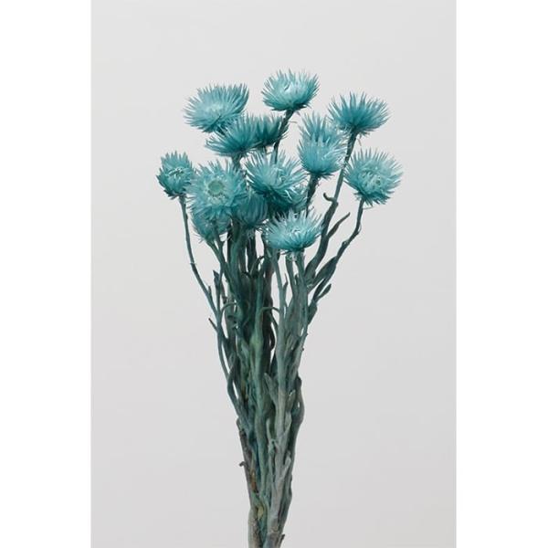 【商品詳細】【商品名】大地農園/ミニシルバーデージー【入り数】1束(約25g)【サイズ】約30cmL花サイズ3.5-4cm【注意】※ご使用のＰＣ環境により、実物の色目と差異がある場合もあります。※生花由来の商品のため、商品ごとに色・サイズ・...