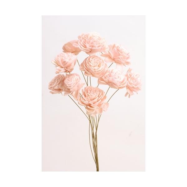 【商品詳細】【商品名】大地農園/ソーラーローズ 小【入り数】1束(約10本)【サイズ】約25cmL花径約4cm【注意】※ご使用のＰＣ環境により、実物の色目と差異がある場合もあります。※生花由来の商品のため、商品ごとに色・サイズ・状態等に個体...