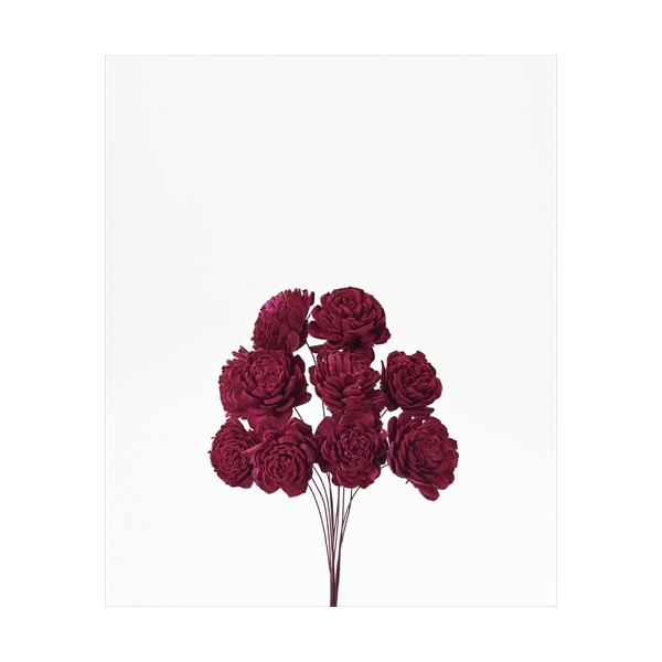 【商品詳細】【商品名】大地農園/ソーラーローズ 小【入り数】1束(約10本)【サイズ】約25cmL花径約4cm【注意】※ご使用のＰＣ環境により、実物の色目と差異がある場合もあります。※生花由来の商品のため、商品ごとに色・サイズ・状態等に個体...