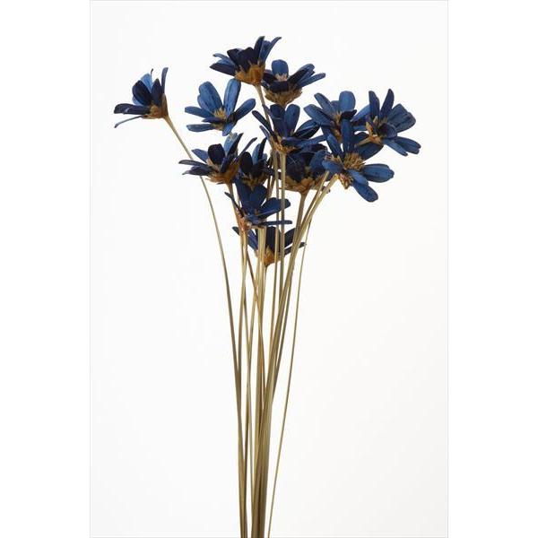 【商品詳細】【商品名】大地農園/プチフラワー【入り数】1束(約15本)【サイズ】約30-40cmL花径約3.5cm【注意】※ご使用のＰＣ環境により、実物の色目と差異がある場合もあります。※生花由来の商品のため、商品ごとに色・サイズ・状態等に...