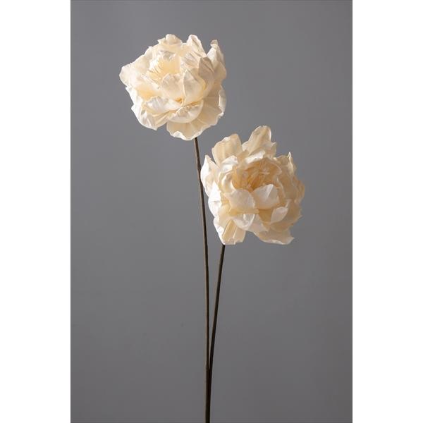 【商品詳細】【商品名】大地農園/ソーラーパールピオニー・大【入り数】1束(約2本)【サイズ】約50cmL花径約10cm【注意】※ご使用のＰＣ環境により、実物の色目と差異がある場合もあります。※生花由来の商品のため、商品ごとに色・サイズ・状態...