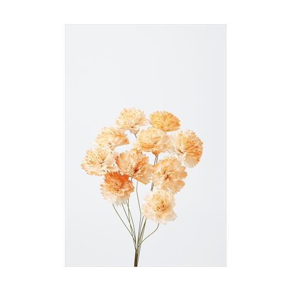 【商品詳細】【商品名】大地農園/ソーラーシフォンカーネーション・小【入り数】1束(約10本)【サイズ】約25cmL花径約3.5-4cm【注意】※ご使用のＰＣ環境により、実物の色目と差異がある場合もあります。※生花由来の商品のため、商品ごとに...
