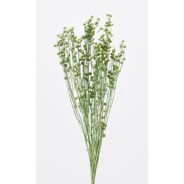 【商品詳細】【商品名】大地農園/リンフラワー【入り数】1束(約25g)【サイズ】約50cmL【注意】※ご使用のＰＣ環境により、実物の色目と差異がある場合もあります。※生花由来の商品のため、商品ごとに色・サイズ・状態等に個体差がございます。そ...