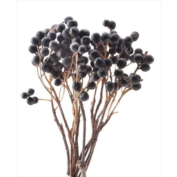 【商品詳細】【商品名】大地農園/シャリンバイ【入り数】1束(約5-8本/50g)【サイズ】約20-25cm【注意】※ご使用のＰＣ環境により、実物の色目と差異がある場合もあります。※生花由来の商品のため、商品ごとに色・サイズ・状態等に個体差が...