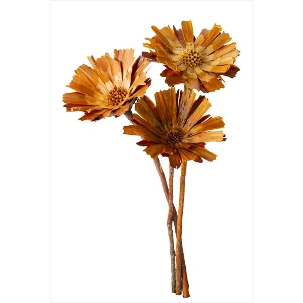 【商品詳細】【商品名】大地農園/リペンス・ロゼッタ【入り数】1束(約3本)【サイズ】約20-35cm【注意】※ご使用のＰＣ環境により、実物の色目と差異がある場合もあります。※生花由来の商品のため、商品ごとに色・サイズ・状態等に個体差がござい...