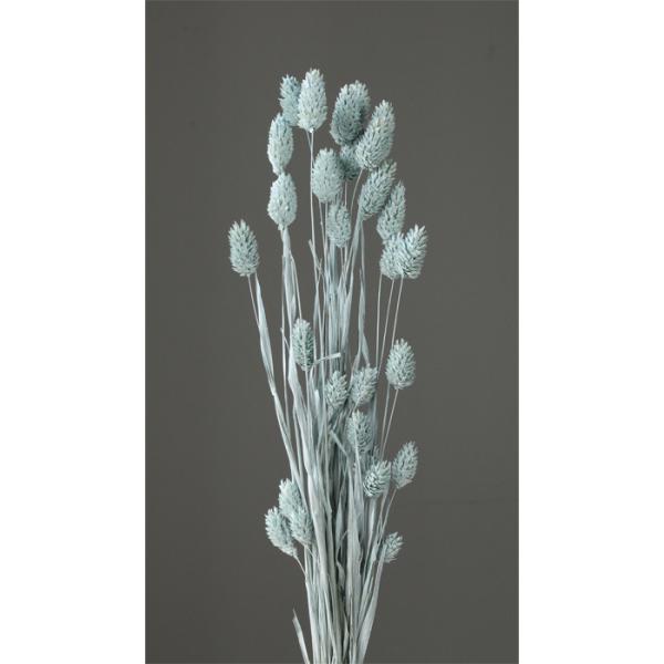 【商品詳細】【商品名】大地農園/ポアプランツ【入り数】1束(約40g)【サイズ】約50cmL【注意】※ご使用のＰＣ環境により、実物の色目と差異がある場合もあります。※生花由来の商品のため、商品ごとに色・サイズ・状態等に個体差がございます。そ...