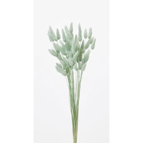 【商品詳細】【商品名】大地農園/ラグラス【入り数】1束(約15g)【サイズ】約50cm【注意】※ご使用のＰＣ環境により、実物の色目と差異がある場合もあります。※生花由来の商品のため、商品ごとに色・サイズ・状態等に個体差がございます。そのため...