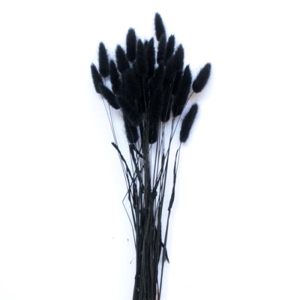 【商品詳細】【商品名】大地農園/ラグラス【入り数】1束(約15g)【サイズ】約50cm【注意】※ご使用のＰＣ環境により、実物の色目と差異がある場合もあります。※生花由来の商品のため、商品ごとに色・サイズ・状態等に個体差がございます。そのため...