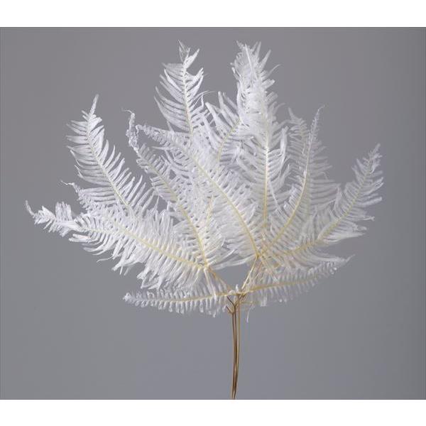 【商品詳細】【商品名】大地農園/山シダ【サイズ】約30-45cmL【入数】1束（約20枚）【注意】※ご使用のＰＣ環境により、実物の色目と差異がある場合もあります。※生花由来の商品のため、商品ごとに色・サイズ・状態等に個体差がございます。その...