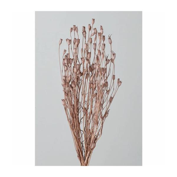 【商品詳細】【商品名】大地農園/フローレンティナ【入り数】1束(約30g)【サイズ】約50cmL【注意】※ご使用のＰＣ環境により、実物の色目と差異がある場合もあります。※生花由来の商品のため、商品ごとに色・サイズ・状態等に個体差がございます...