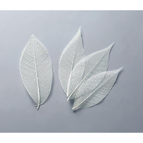 【商品詳細】【商品名】大地農園/ミニスケルトンリーフ・大【入り数】1袋（約40枚)【サイズ】約7-9cm【注意】※ご使用のＰＣ環境により、実物の色目と差異がある場合もあります。※生花由来の商品のため、商品ごとに色・サイズ・状態等に個体差がご...