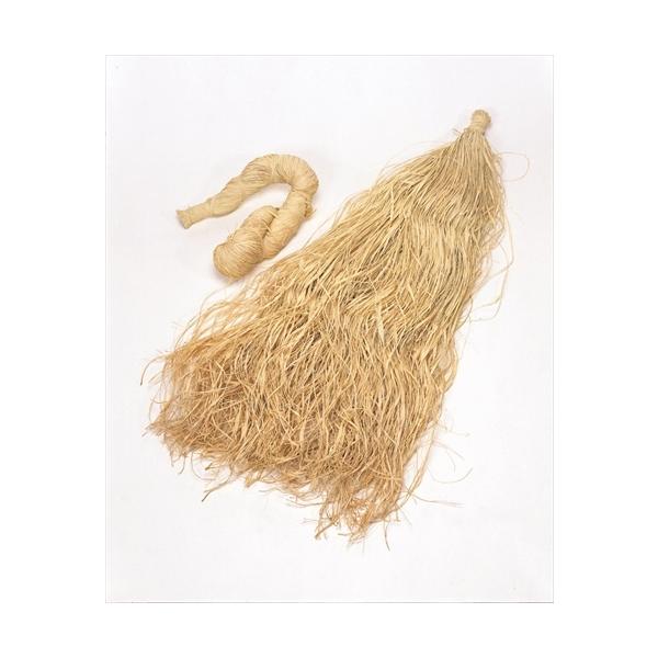 【商品詳細】【商品名】大地農園/マダガスカルラフィア【入り数】1巻（約700g-1kg/約400-500本)【サイズ】約140-160cm【注意】※ご使用のＰＣ環境により、実物の色目と差異がある場合もあります。※生花由来の商品のため、商品ご...