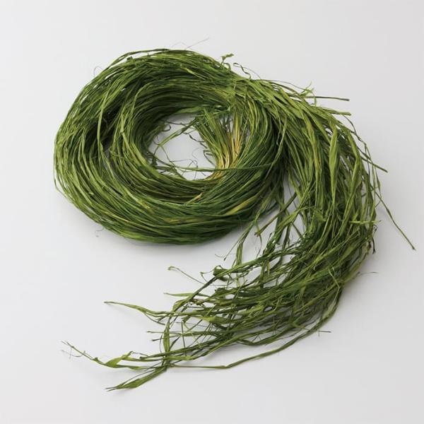 【商品詳細】【商品名】大地農園/マダガスカルラフィア【入り数】1巻（約70g・約70-100本）【サイズ】約140〜160cmL【注意】※ご使用のＰＣ環境により、実物の色目と差異がある場合もあります。※生花由来の商品のため、商品ごとに色・サ...
