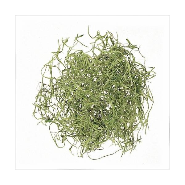 【商品詳細】【商品名】大地農園/スパニッシュモス/小袋【入数】1袋（約50g)【注意】※ご使用のＰＣ環境により、実物の色目と差異がある場合もあります。※生花由来の商品のため、商品ごとに色・サイズ・状態等に個体差がございます。そのため、入荷に...
