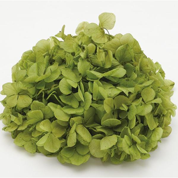 【商品詳細】【商品名】東北花材/ソフトあじさい美咲【入数】約2.5輪/箱【注意】※ご使用のＰＣ環境により、実物の色目と差異がある場合もあります。※生花由来の商品のため、商品ごとに色・サイズ・状態等に個体差がございます。そのため、入荷により色...