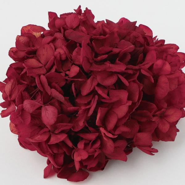 【商品詳細】【商品名】東北花材/ソフトあじさい美咲【入数】約2.5輪/箱※ご使用のＰＣ環境により、実物の色目と差異がある場合もあります。※生花由来の商品のため、商品ごとに色・サイズ・状態等に個体差がございます。そのため、入荷により色目やサイ...