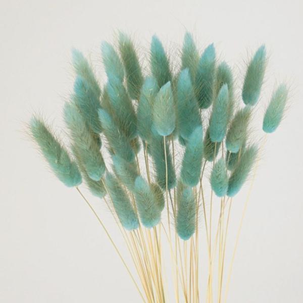 【商品詳細】【商品名】東北花材/ラグラス【入数】約15g【サイズ】約40cmL【注意】※ご使用のＰＣ環境により、実物の色目と差異がある場合もあります。※生花由来の商品のため、商品ごとに色・サイズ・状態等に個体差がございます。そのため、入荷に...