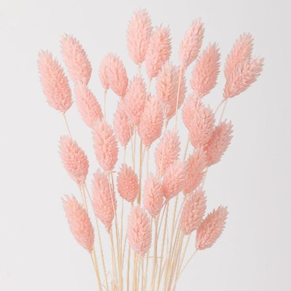 【商品詳細】【商品名】東北花材/ポアプランツ【入数】約15g【サイズ】約40cmL【注意】※ご使用のＰＣ環境により、実物の色目と差異がある場合もあります。※生花由来の商品のため、商品ごとに色・サイズ・状態等に個体差がございます。そのため、入...