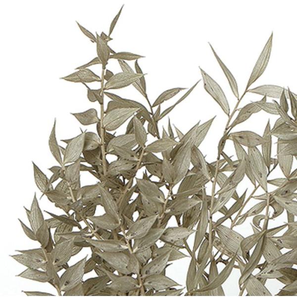 【商品詳細】【商品名】東北花材/ソフトラスカス【入数】約50g/束【サイズ】約L50-70cm【注意】※ご使用のＰＣ環境により、実物の色目と差異がある場合もあります。※生花由来の商品のため、商品ごとに色・サイズ・状態等に個体差がございます。...