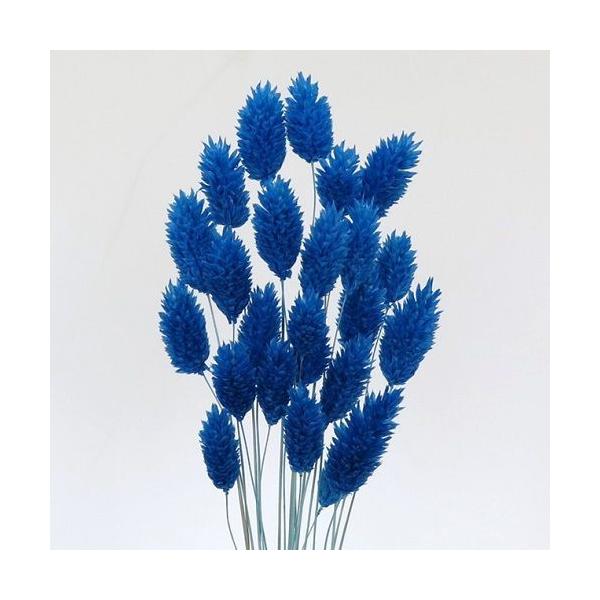 【商品詳細】【商品名】東北花材/ポアプランツ【入数】約15g【サイズ】約40cmL【注意】※ご使用のＰＣ環境により、実物の色目と差異がある場合もあります。※生花由来の商品のため、商品ごとに色・サイズ・状態等に個体差がございます。そのため、入...