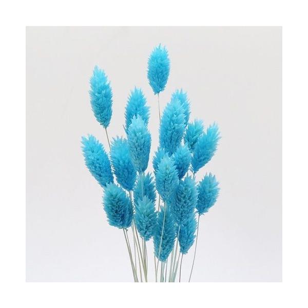 【商品詳細】【商品名】東北花材/ポアプランツ【入数】約15g【サイズ】約40cmL【注意】※ご使用のＰＣ環境により、実物の色目と差異がある場合もあります。※生花由来の商品のため、商品ごとに色・サイズ・状態等に個体差がございます。そのため、入...