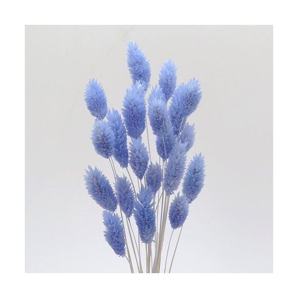 【商品詳細】【商品名】東北花材/ポアプランツ【入数】約15g【サイズ】約40cmL【注意】※ご使用のＰＣ環境により、実物の色目と差異がある場合もあります。※生花由来の商品のため、商品ごとに色・サイズ・状態等に個体差がございます。そのため、入...