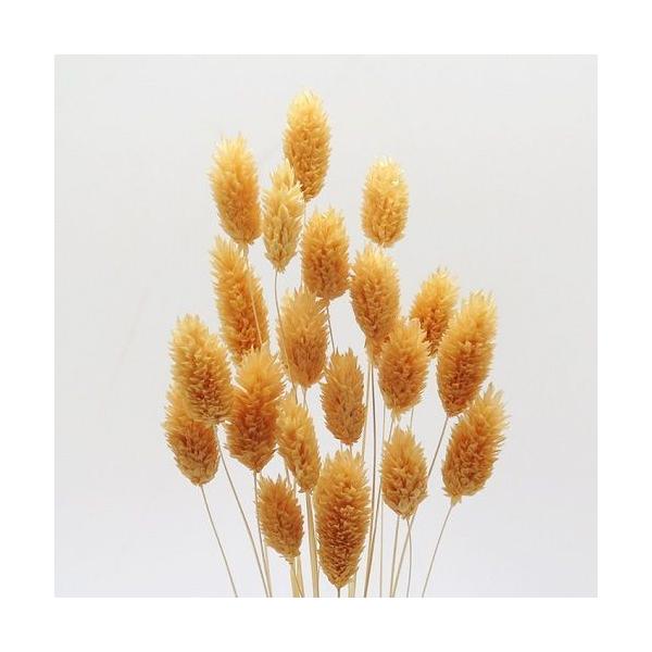 【商品詳細】【商品名】東北花材/ポアプランツ【入数】約15g【サイズ】約40cmL【注意】※ご使用のＰＣ環境により、実物の色目と差異がある場合もあります。※生花由来の商品のため、商品ごとに色・サイズ・状態等に個体差がございます。そのため、入...
