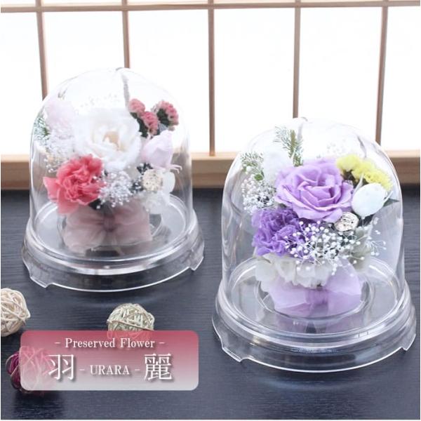 【商品詳細】【商品名】プリザーブドフラワー　ドームアレンジ 仏花【サイズ】高さ：約13cmドーム直径：約13cm【ボックスサイズ】H21.5cm×W15cm×D15cm【商品内容】1つ【備考】ご希望の方には、メッセージカード、ラッピング、手...