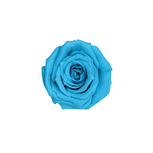【商品詳細】【商品名】フロールエバー/ピッコラブロッサムローズ【サイズ】花径:約2-3cm花丈:約1.8-2.5cm【入数】1箱（約18輪）【注意】※ご使用のＰＣ環境により、実物の色目と差異がある場合もあります。※生花由来の商品のため、商品...