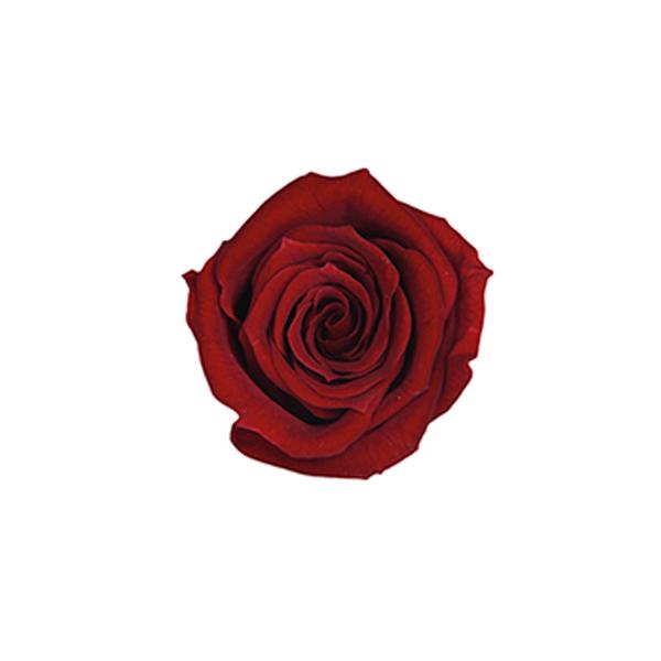 【商品詳細】【商品名】フロールエバー/ベイビーローズ【サイズ】花径:約2.5-3.5cm花丈:約2.6-3.2cm【入数】1箱（約12輪）【注意】※ご使用のＰＣ環境により、実物の色目と差異がある場合もあります。※生花由来の商品のため、商品ご...