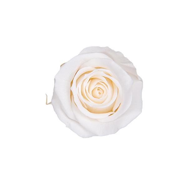 【商品詳細】【商品名】フロールエバー/スプレーローズ【サイズ】花径:約3.5-4.5cm花丈:約3-4cm【入数】1箱（約8輪）【注意】※ご使用のＰＣ環境により、実物の色目と差異がある場合もあります。※生花由来の商品のため、商品ごとに色・サ...