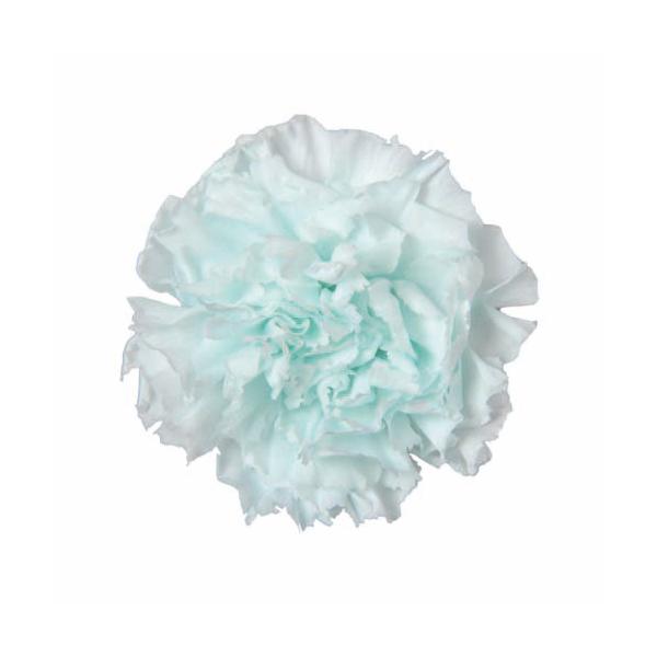 【商品詳細】【商品名】フロールエバー/スタンダードカーネーション【サイズ】花径:約5cm【入数】1箱（約6輪）【注意】※ご使用のＰＣ環境により、実物の色目と差異がある場合もあります。※生花由来の商品のため、商品ごとに色・サイズ・状態等に個体...