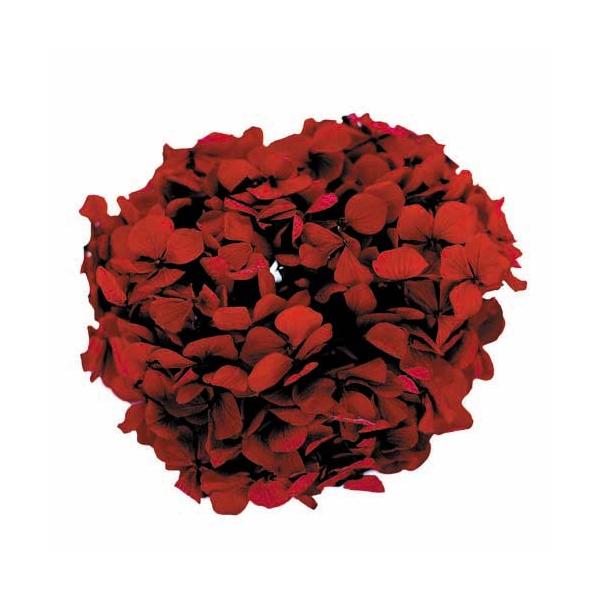 【商品詳細】【商品名】フロールエバー/アンデスアジサイ【入数】1箱（約20g）【注意】※ご使用のＰＣ環境により、実物の色目と差異がある場合もあります。※生花由来の商品のため、商品ごとに色・サイズ・状態等に個体差がございます。そのため、入荷に...