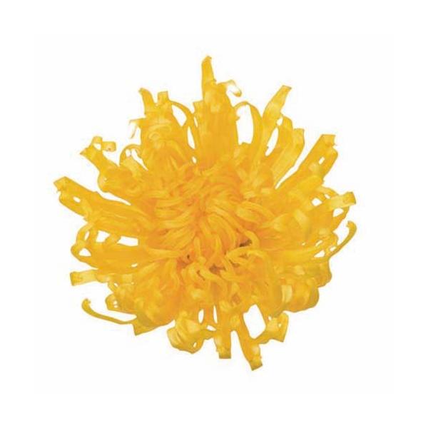 【商品詳細】【商品名】フロールエバー/アナスタシア【サイズ】花径約5?8cm【入数】1箱（約3輪）【注意】※ご使用のＰＣ環境により、実物の色目と差異がある場合もあります。※生花由来の商品のため、商品ごとに色・サイズ・状態等に個体差がございま...