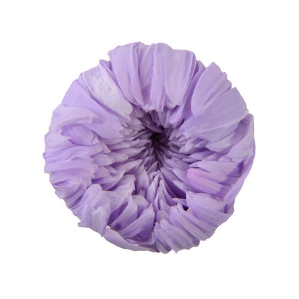 【商品詳細】【商品名】フロールエバー/輪ギク【サイズ】花径約3.6〜5.6cm花丈約3.8〜4.8cm【入数】1箱（約6輪）【注意】※ご使用のＰＣ環境により、実物の色目と差異がある場合もあります。※生花由来の商品のため、商品ごとに色・サイズ...