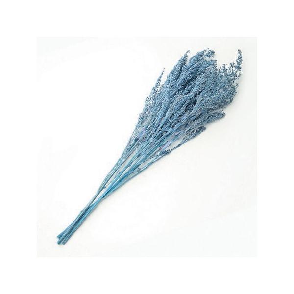 【商品詳細】【商品名】大地農園/ソリダゴ/ミストグリーン【サイズ】L約30から40cm【入数】3本【送料】配送料:600円配送料商品5,000円以上で送料無料！【注意】※ご使用のＰＣ環境により、実物の色目と差異がある場合もあります。※生花由...