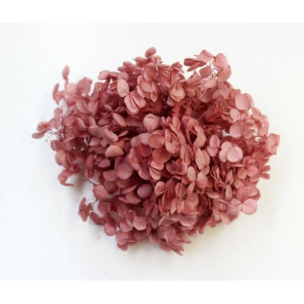 【商品詳細】【商品名】アジサイ/アンナ/クラシックピンク【入数】約20g（約2輪分になります）【花びらサイズ】約0.5cm〜1.0cm【注意】※季節によりサイズ・花型にばらつきが出ることがあります。【注意】※ご使用のＰＣ環境により、実物の色...