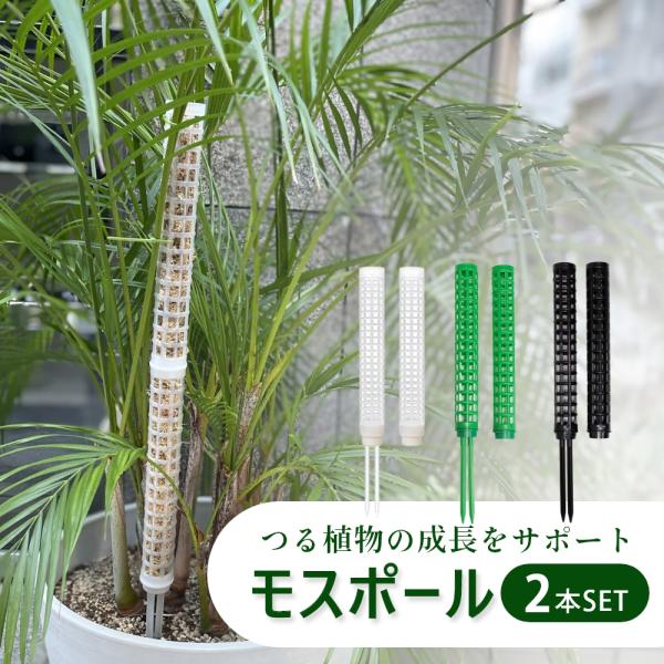 初心者にも扱いやすく、水苔なしでも使用できる、軽量プラスチック製のモスポールです（水苔は付属しません）。内部に水苔を入れることで保水性が高まり、つる性植物の気根が絡みやすく、まっすぐ美しく育てられます。今の育て方、満足していますか？・鉢をあ...