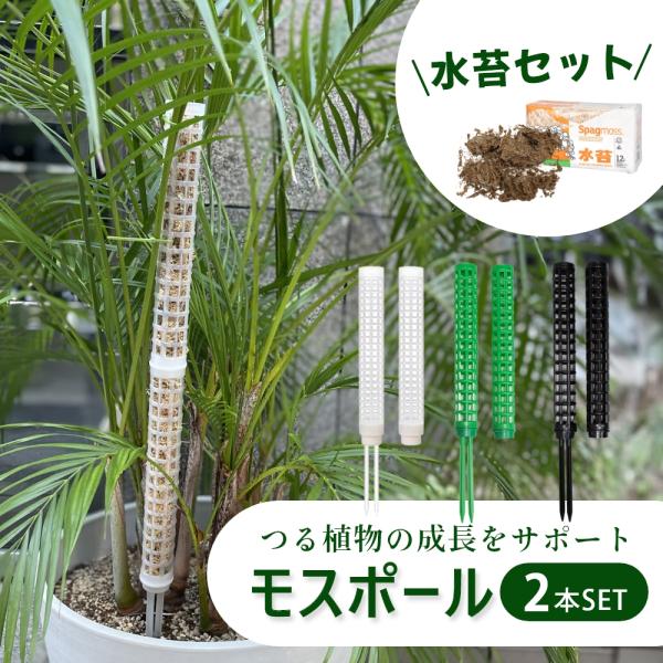 初心者にも扱いやすく、水苔なしでも使用できる、軽量プラスチック製のモスポールです。内部に水苔を入れることで保水性が高まり、つる性植物の気根が絡みやすく、まっすぐ美しく育てられます。今の育て方、満足していますか？・鉢をあまり大きくしたくない・...