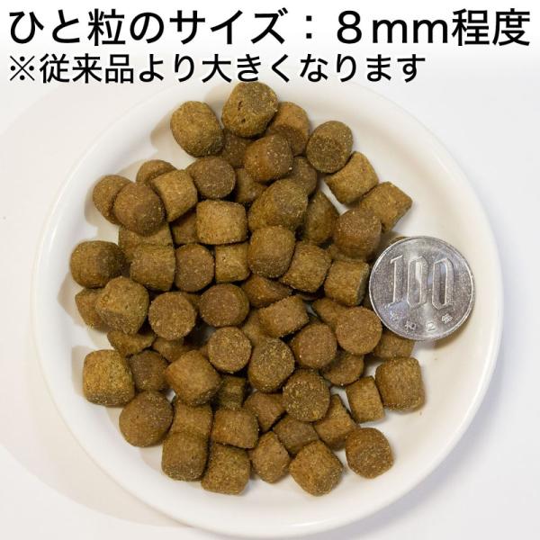 新商品 BARKING HEADS ドライフード のお試しサンプル 200g(40gx5袋)をご準備させていただきました。ぜひ一度お試しください。（※　お一人様1パックに限らせていただきます。）