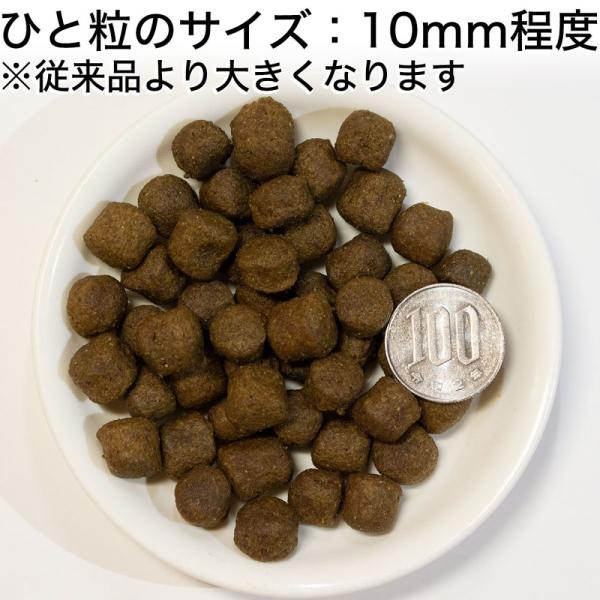 新商品 BARKING HEADS ドライフード のお試しサンプル 200g(40gx5袋)をご準備させていただきました。ぜひ一度お試しください。（※　お一人様1パックに限らせていただきます。）